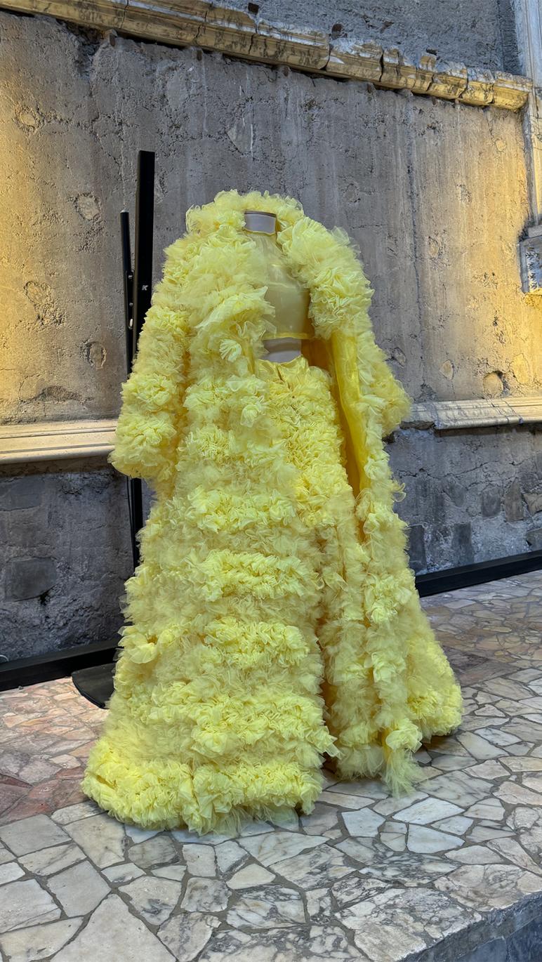 Contest Rara Avis - Accademia Italiana